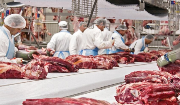 Tonnies targets sustainable development of livestock farming with new ...