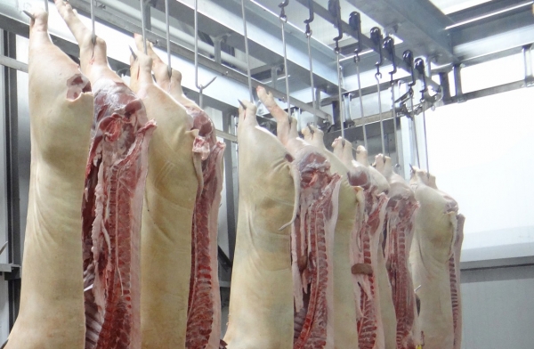 Alliance Group to invest $2 million at Pukeuri Plant in Oamaru ...