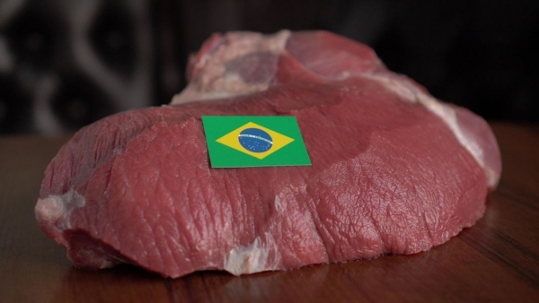 Brazil is exporting more beef in the US market - Euromeatnews.com