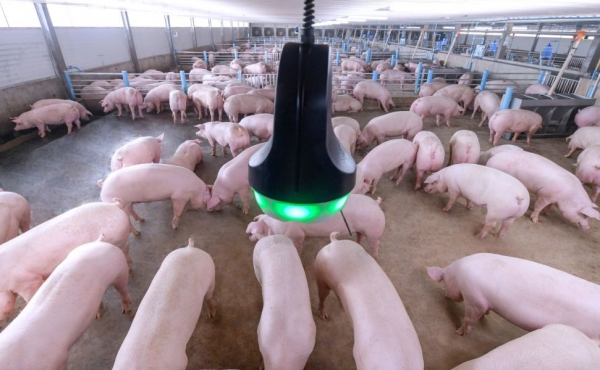 Smart-farming systems implemented by CP Foods to increase animal ...
