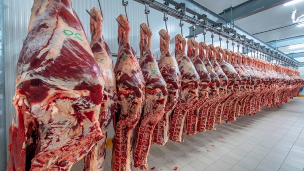 New Zealand: Processing update from B+LNZ and the Meat Industry ...
