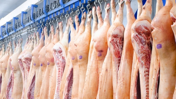 AHDB: UK pork trade in the first six months of 2023 - Euromeatnews.com