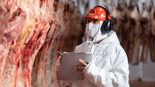 Brazil will reach record meat production in 2026 - Euromeatnews.com