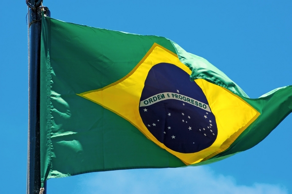 Brazilian beef production will be elevated this year - EuroMeatNews