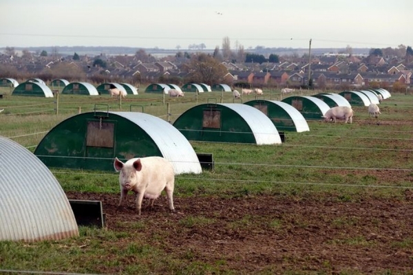NFU Scotland urges UK Gov to stop pork imports from the EU - EuroMeatNews